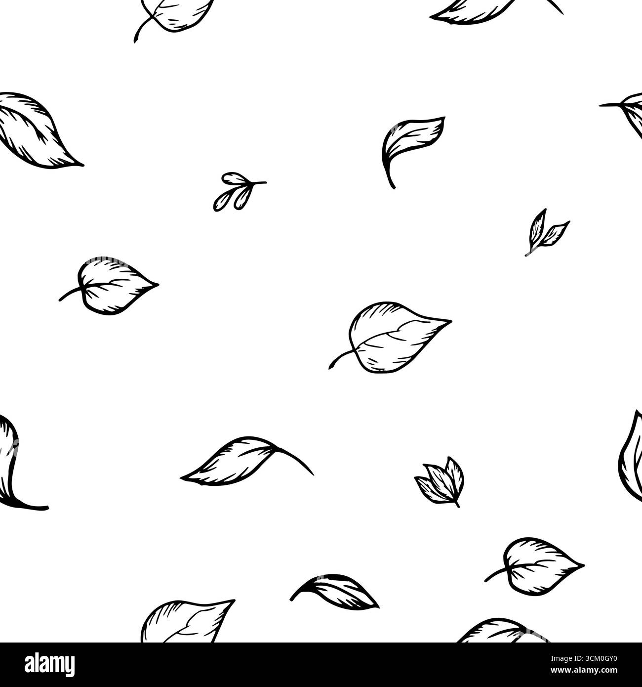 Bunch of buds Black and White Stock Photos & Images - Alamy