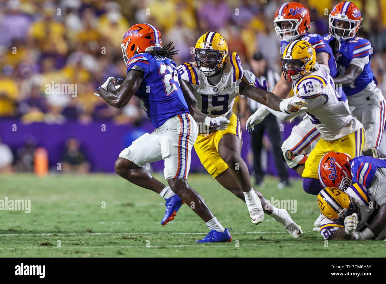 Gabriel reliford lsu hi-res stock photography and images - Alamy