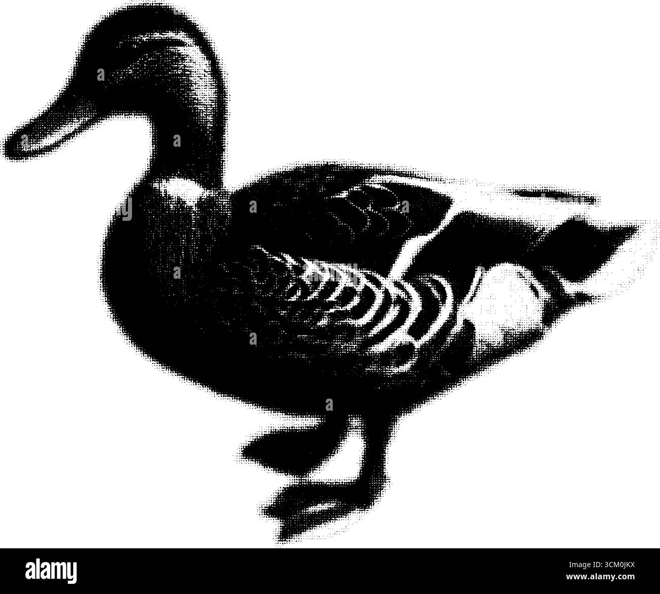 Funny bird in style Black and White Stock Photos & Images - Alamy