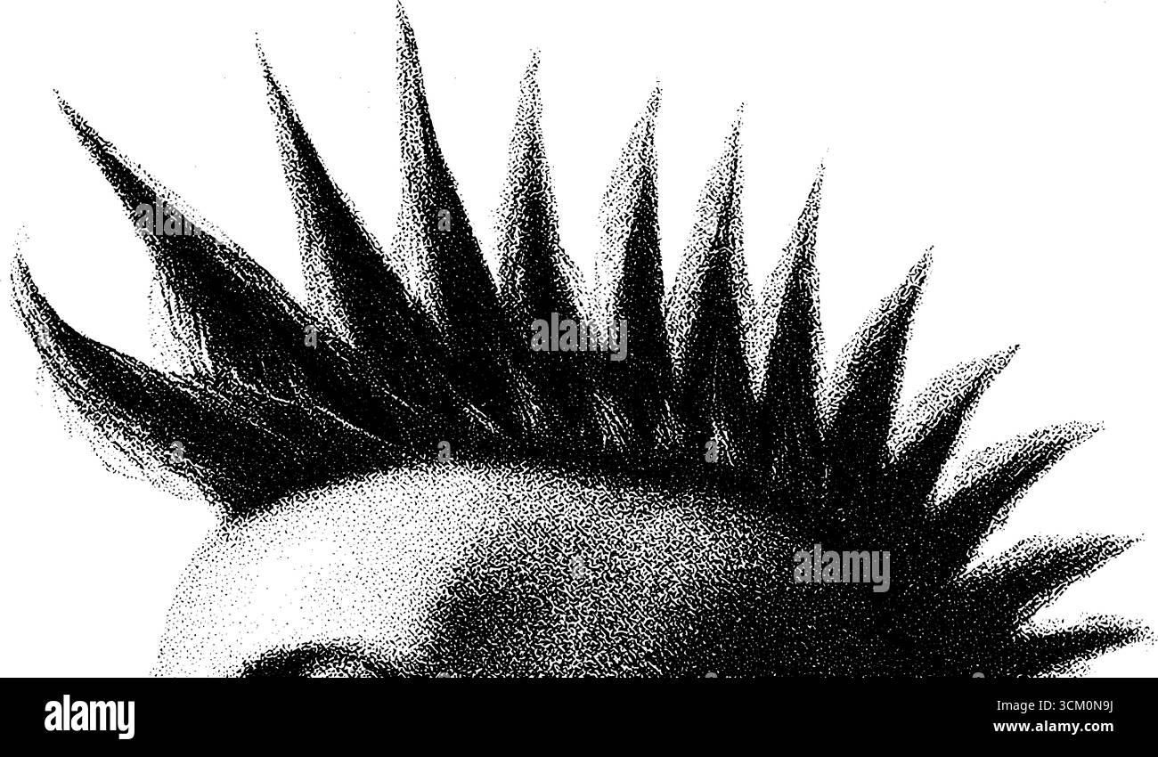 Punk mohawk hairstyle in vintage halftone style with bold dots design ...