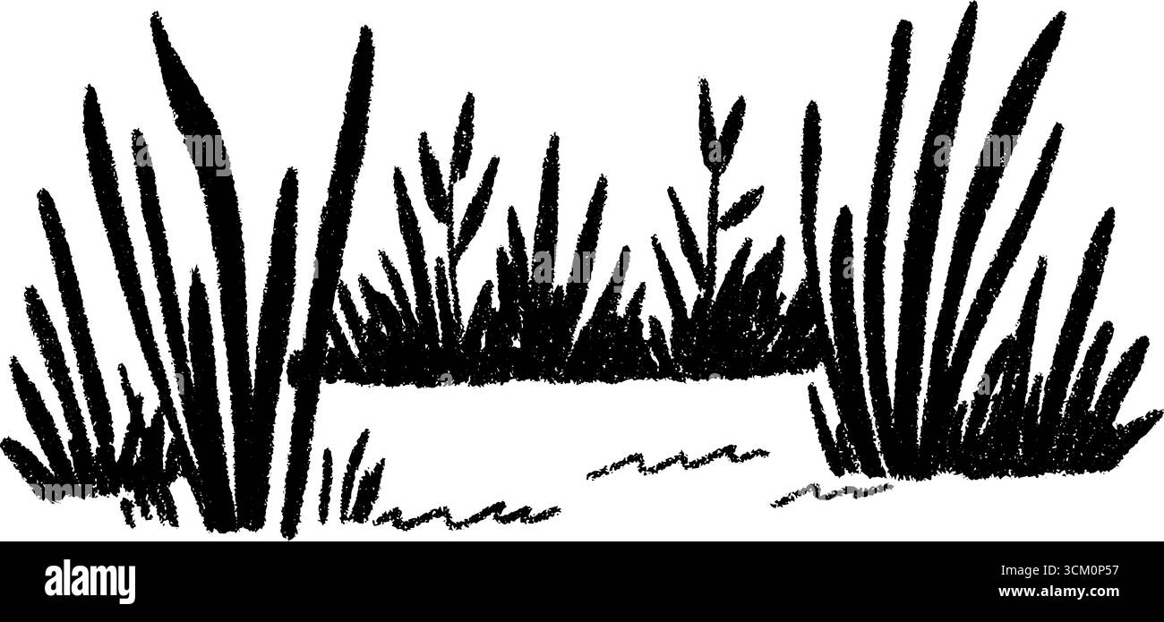 Sketch of forest clearing with tall grass Stock Vector Image & Art - Alamy