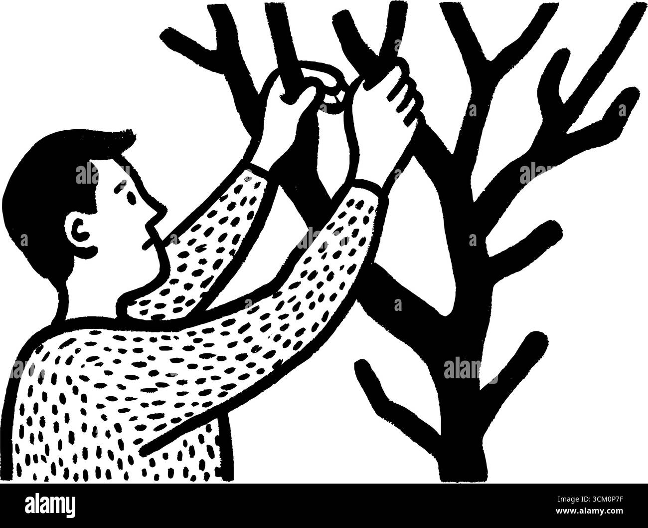Farmer pruning tree branches with care - rustic agriculture concept for ...