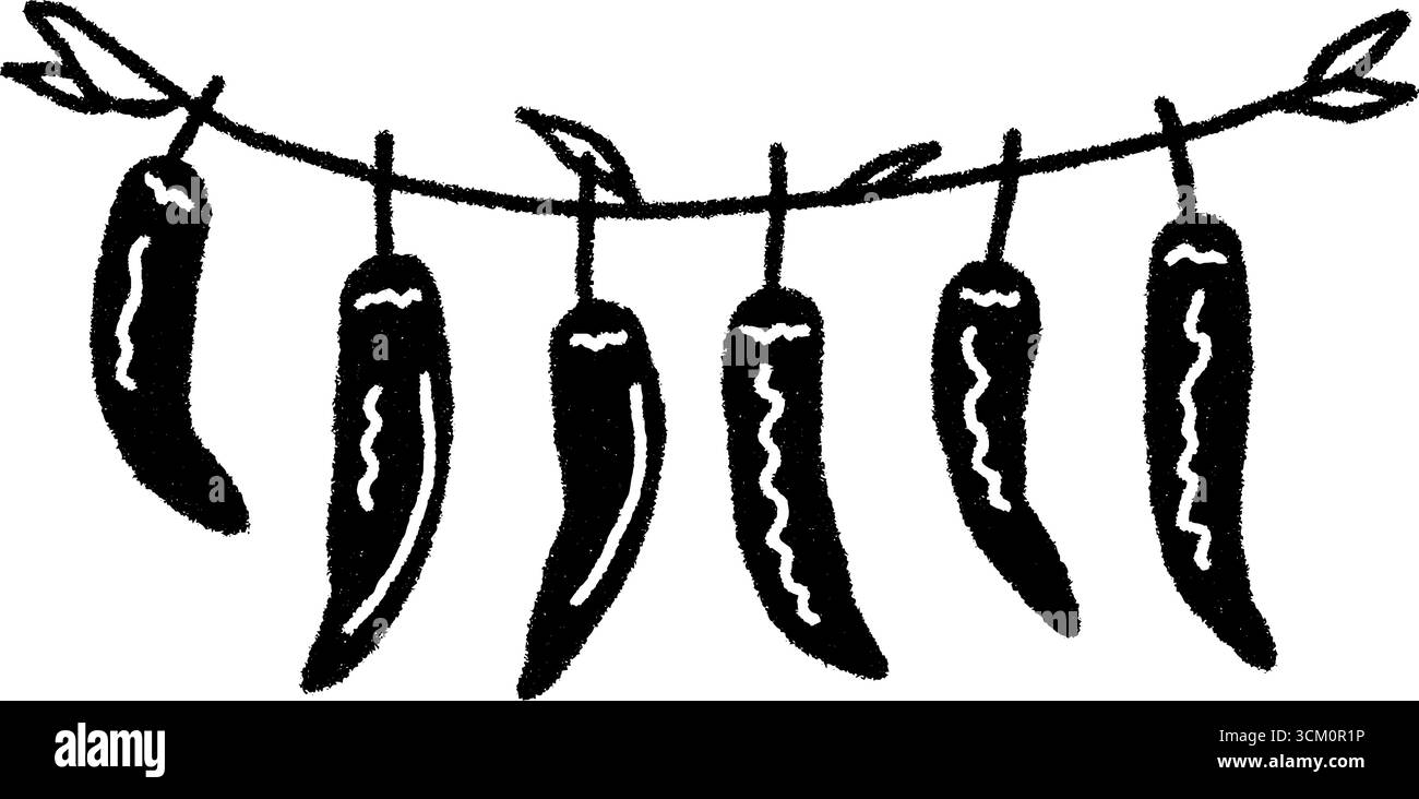 String of dried chili Stock Vector Images - Alamy