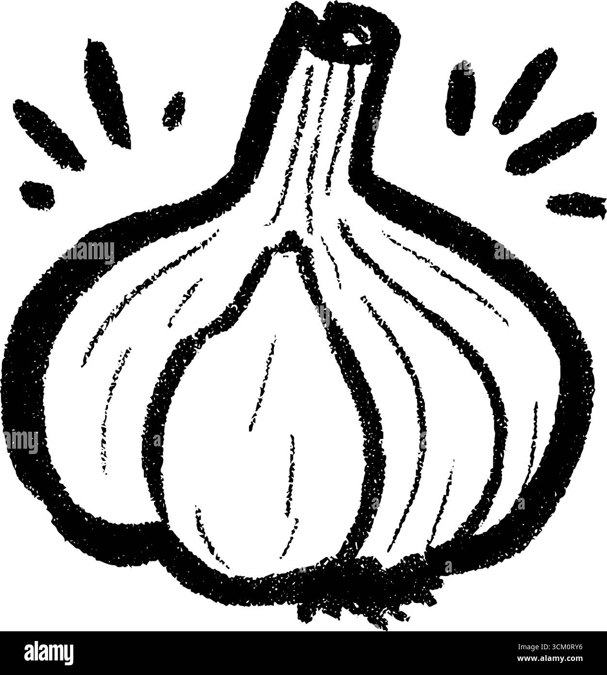 Hand-drawn sketch of garlic bulb with layered texture for design ...