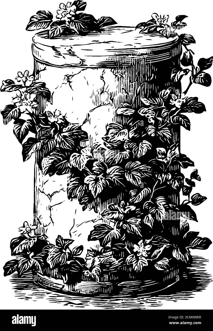 Vintage collapsed column with ivy in nature scene - hand drawn design ...