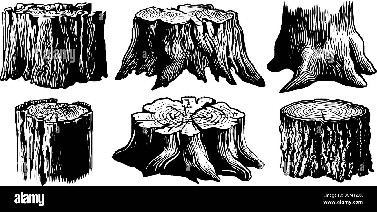 Vintage tree trunks and bark textures sketch for design and crafts ...