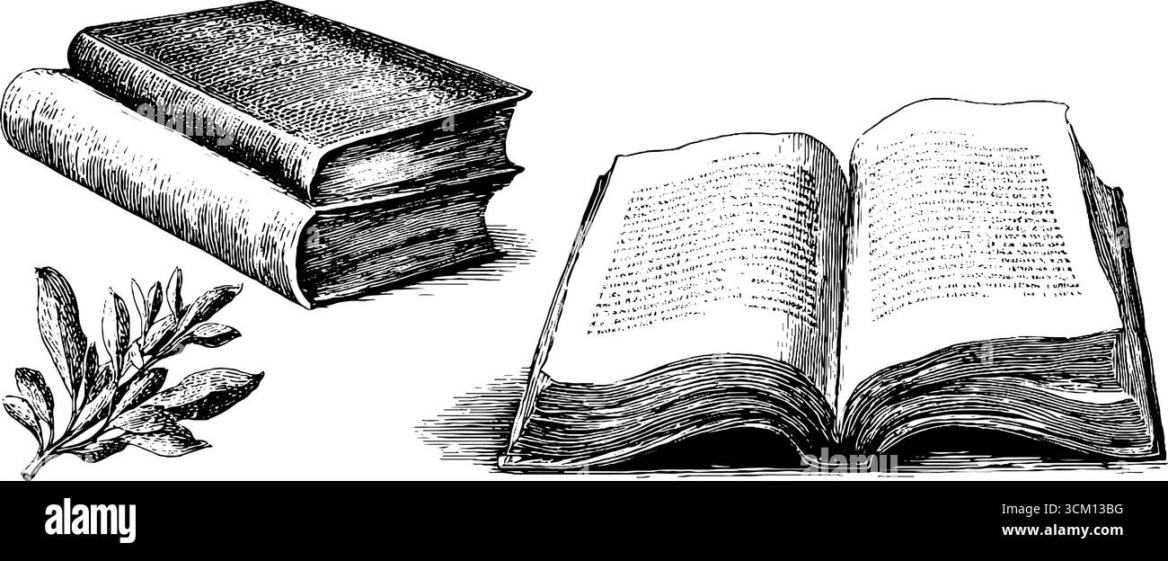 Intricate ancient books with runic symbols and botanical detail for ...