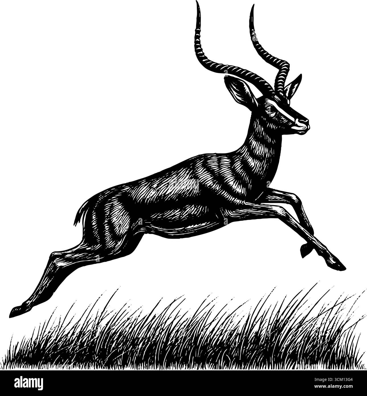 Vintage engraved illustration of antelope leaping in grasslands for ...