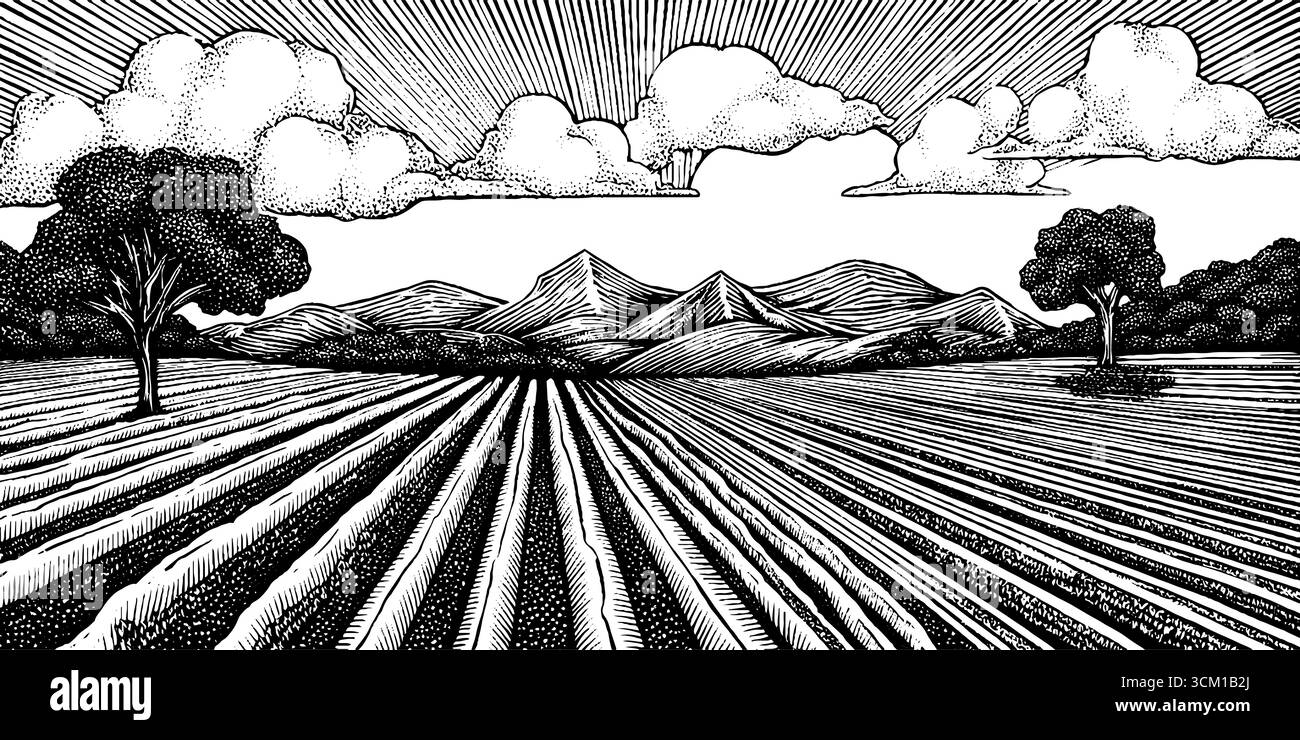 Detailed crop landscape Black and White Stock Photos & Images - Alamy