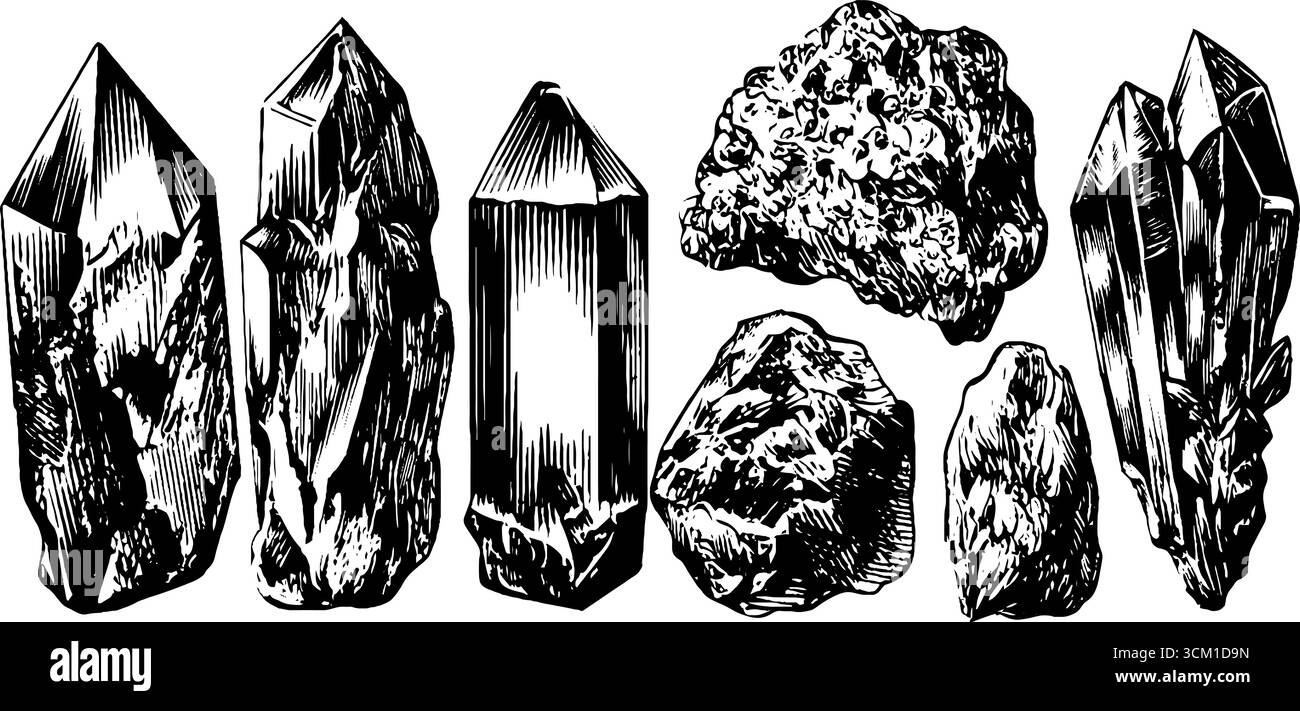 Detailed natural forms Cut Out Stock Images & Pictures - Alamy