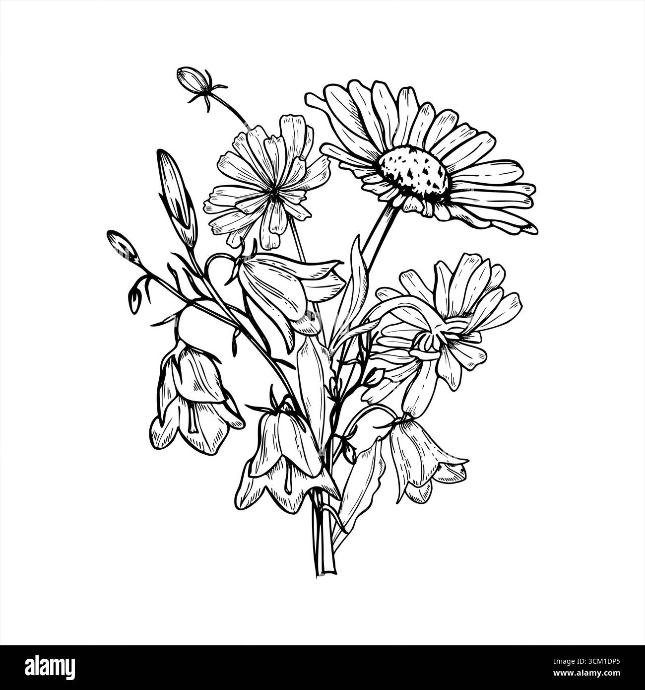 Bouquet composition wild flowers Black and White Stock Photos & Images ...