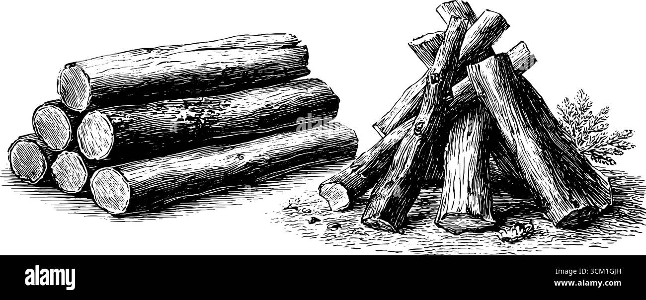 Vintage hand drawn woodcut illustration of charcoal sticks and firewood ...