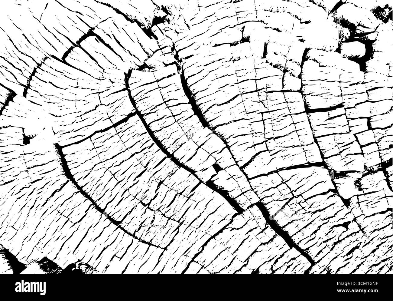 Cracked vintage tree stump surface showing natural texture and annual ...