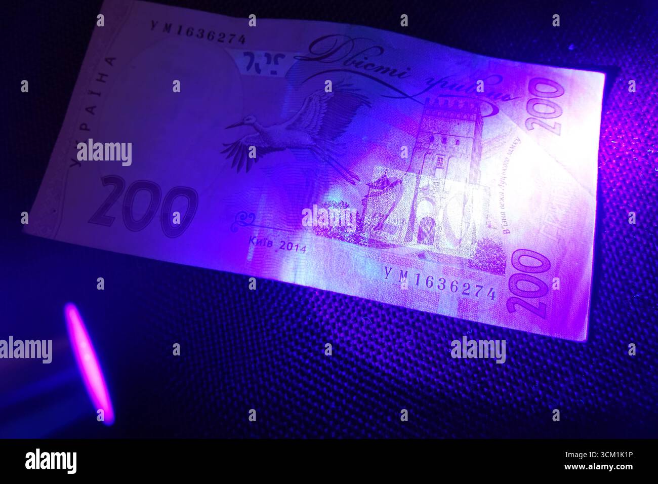 Under ultraviolet light, the distinct patterns and markings on ...