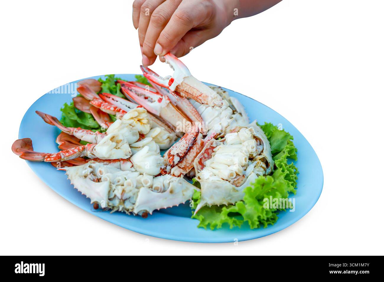 Die cut of Peeled blue swimming on white isolated Stock Photo - Alamy