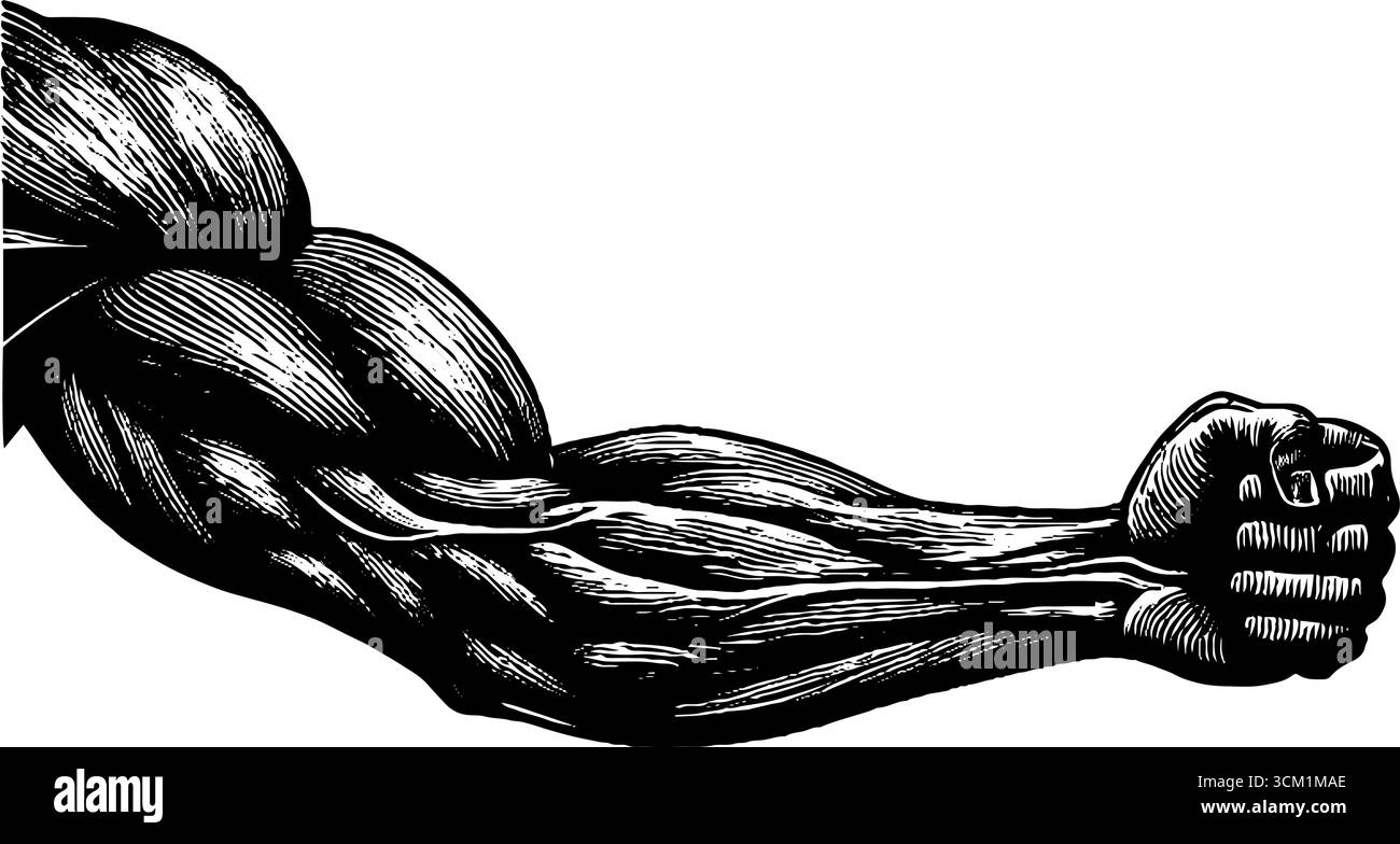 Vintage engraved illustration of muscular forearm with visible muscle ...