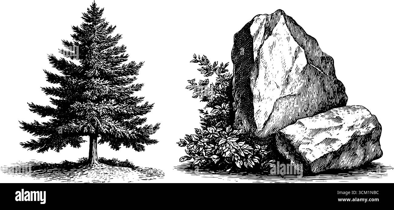 Intricate tree rune and druid stone drawing for ancient themed design ...