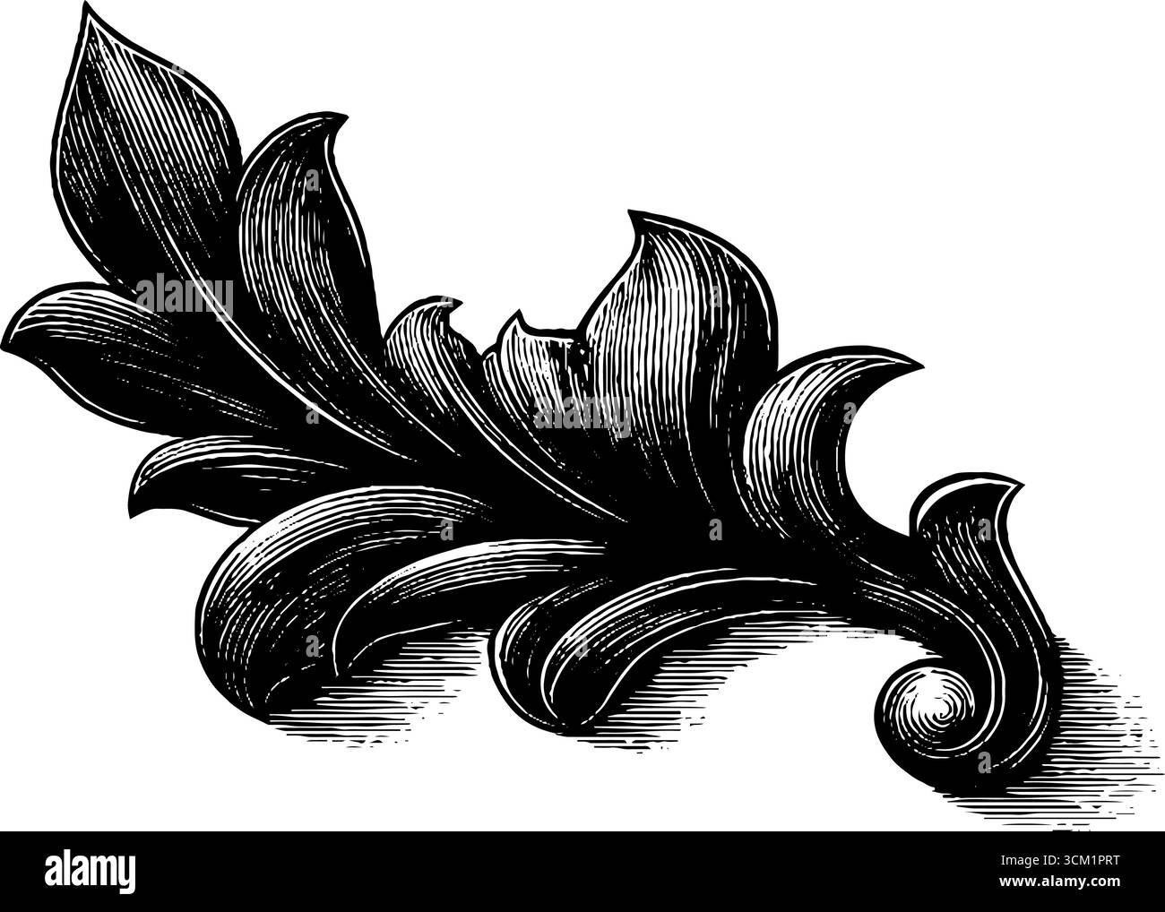 Elaborate scroll Black and White Stock Photos & Images - Alamy