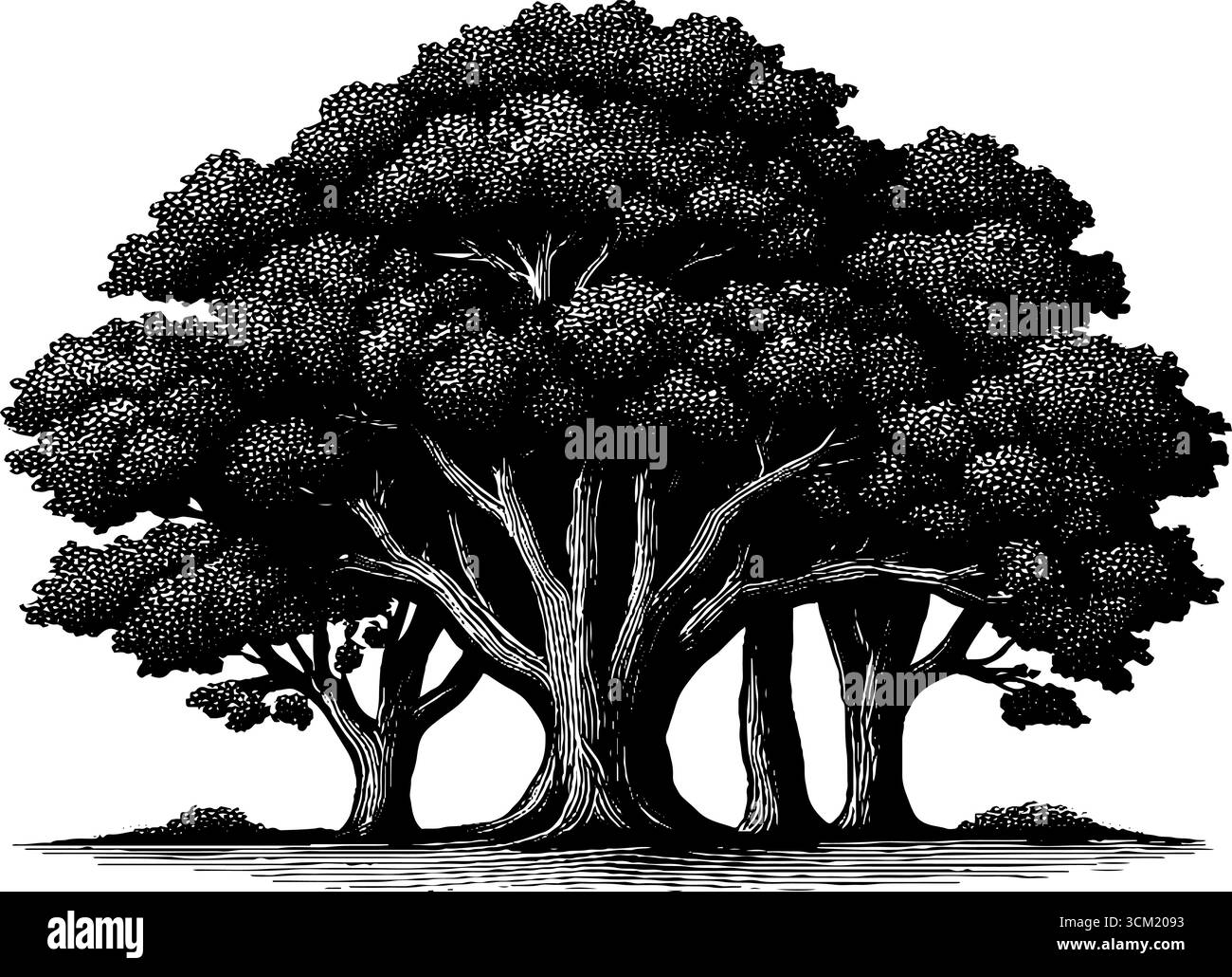 Woodland designs Black and White Stock Photos & Images - Alamy