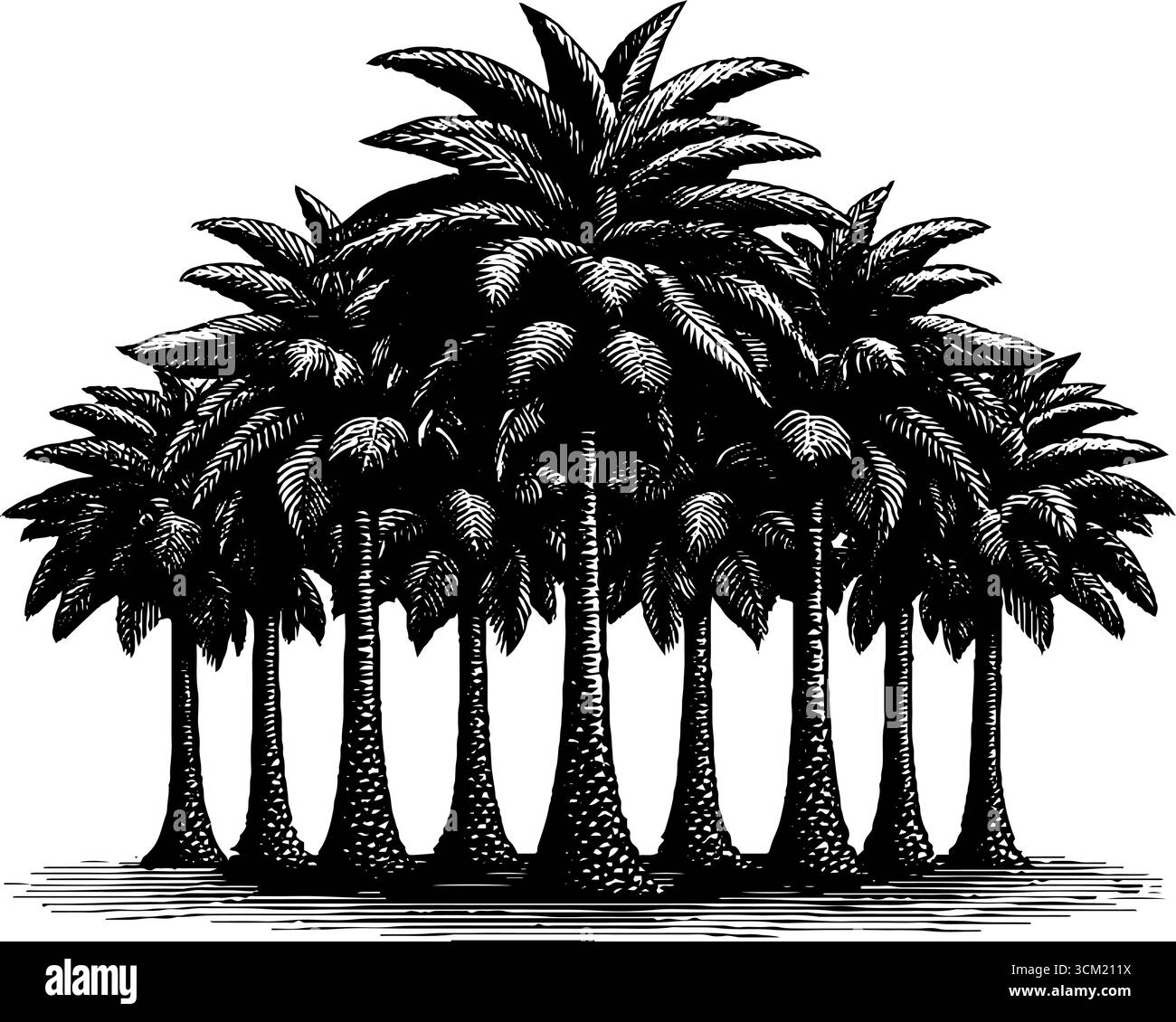 Scene eco Black and White Stock Photos & Images - Alamy