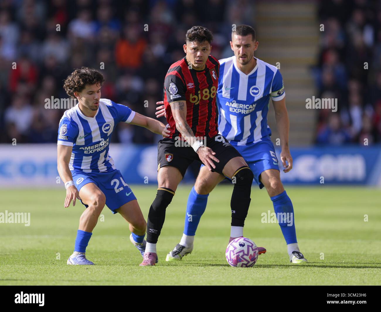 Bournemouth, England, September 13, 2025: Bournemouth's Evanilson ...