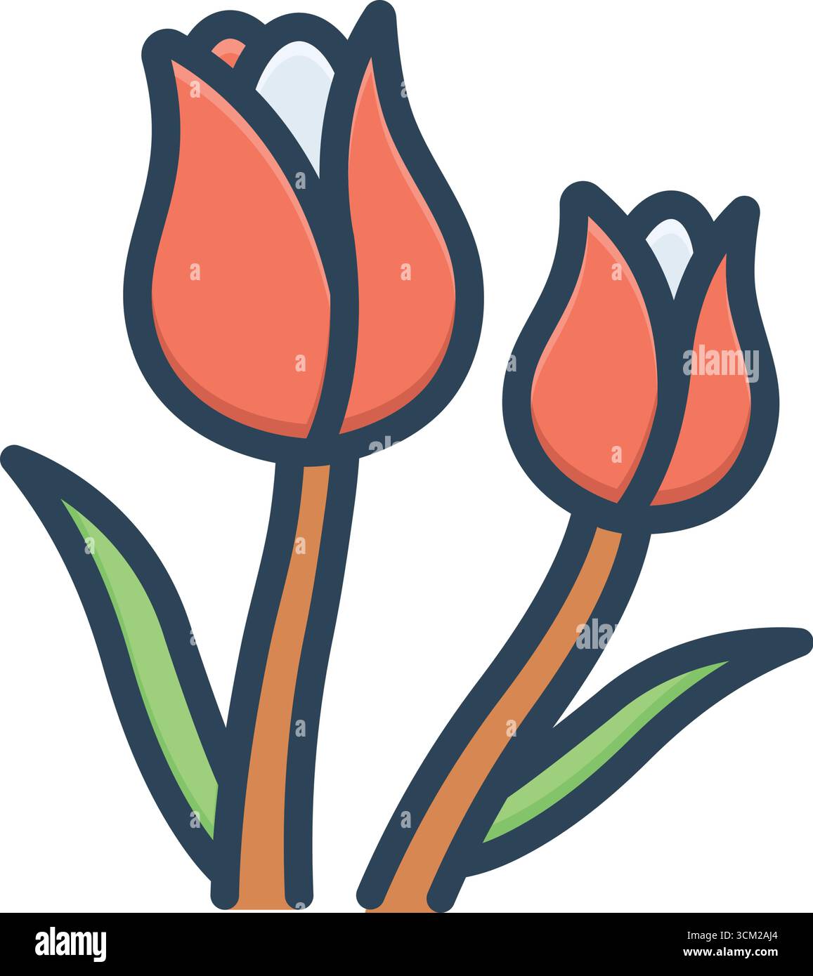Bulbous spring Stock Vector Images - Alamy