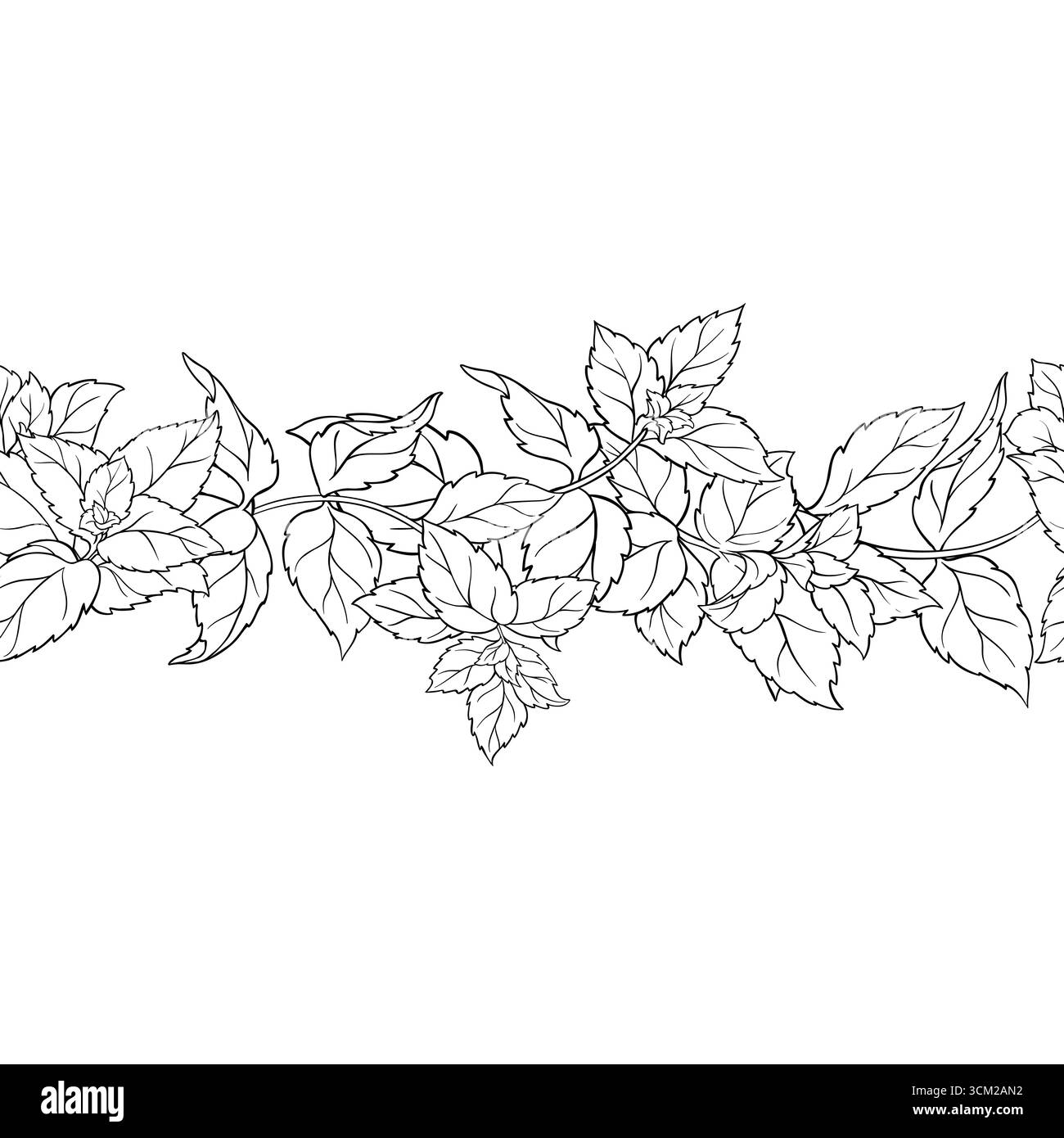 Peppermint Outline Horizontal Seamless Pattern Stock Vector Image & Art ...