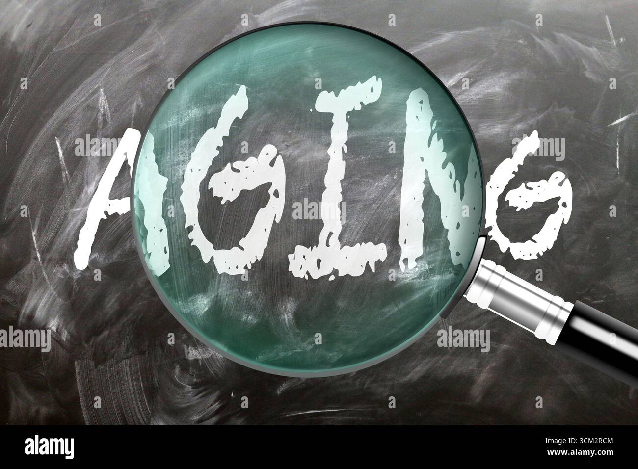 Aging - learn, study and inspect it. Taking a closer look at aging. A ...