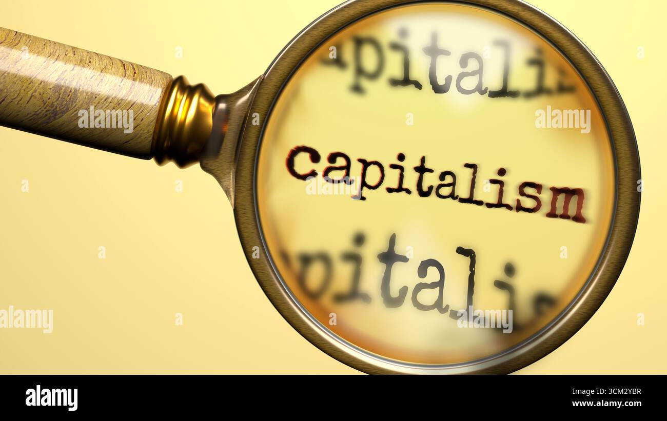 Capitalism under magnifying glass. Thorough analysis and inspection of ...