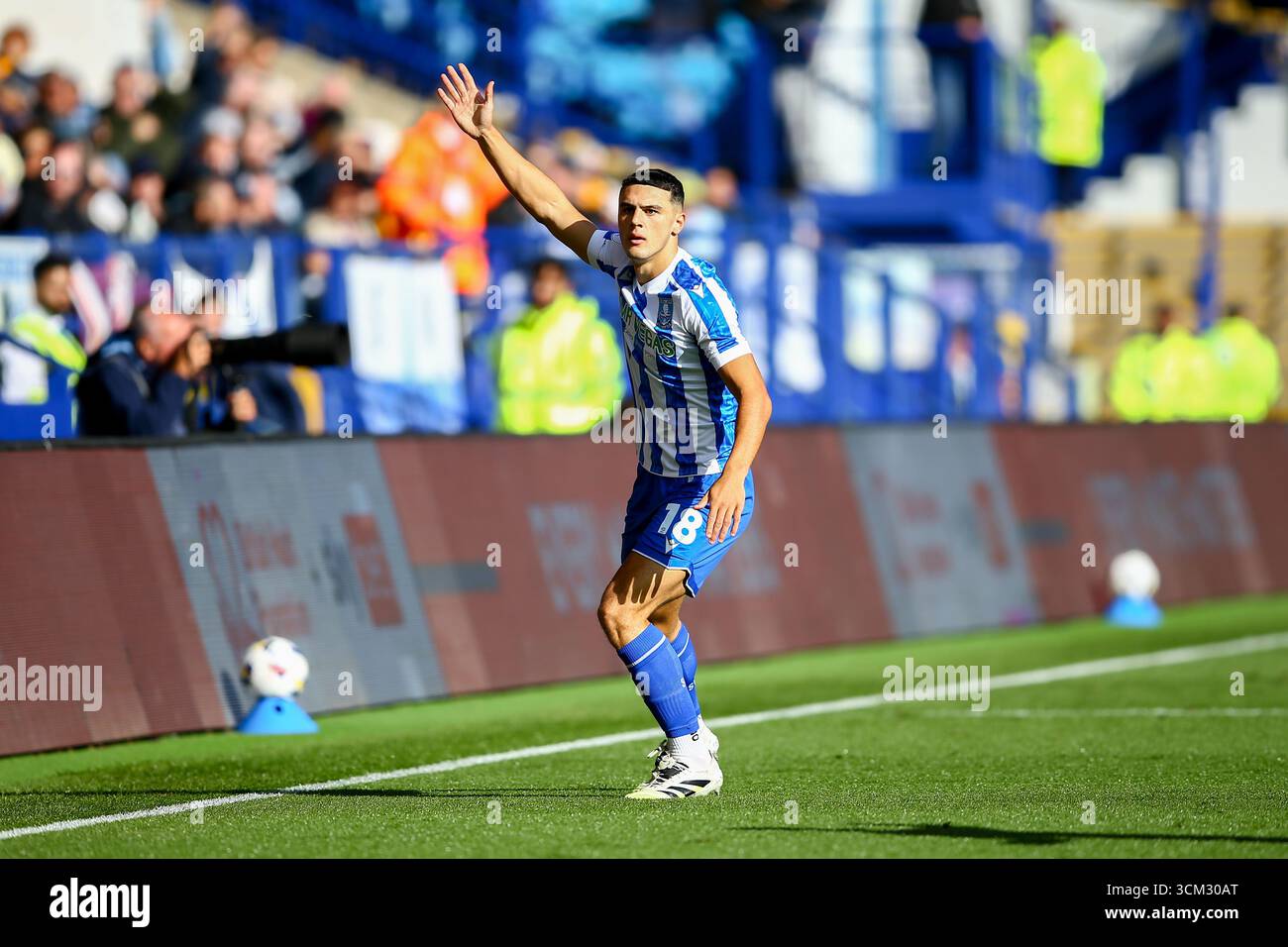 Hillsborough Stadium, Sheffield, England - 13th September 2025 Bailey ...