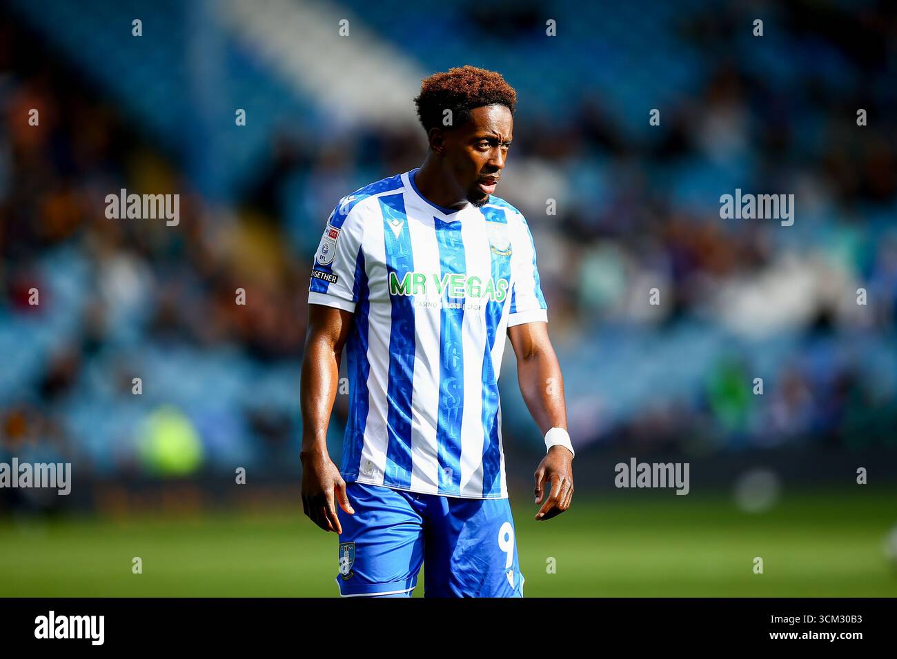 Hillsborough Stadium, Sheffield, England - 13th September 2025 Jamal ...