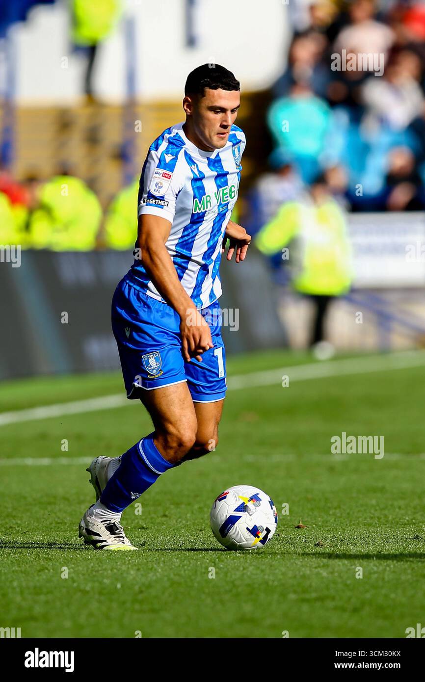 Hillsborough Stadium, Sheffield, England - 13th September 2025 Bailey ...