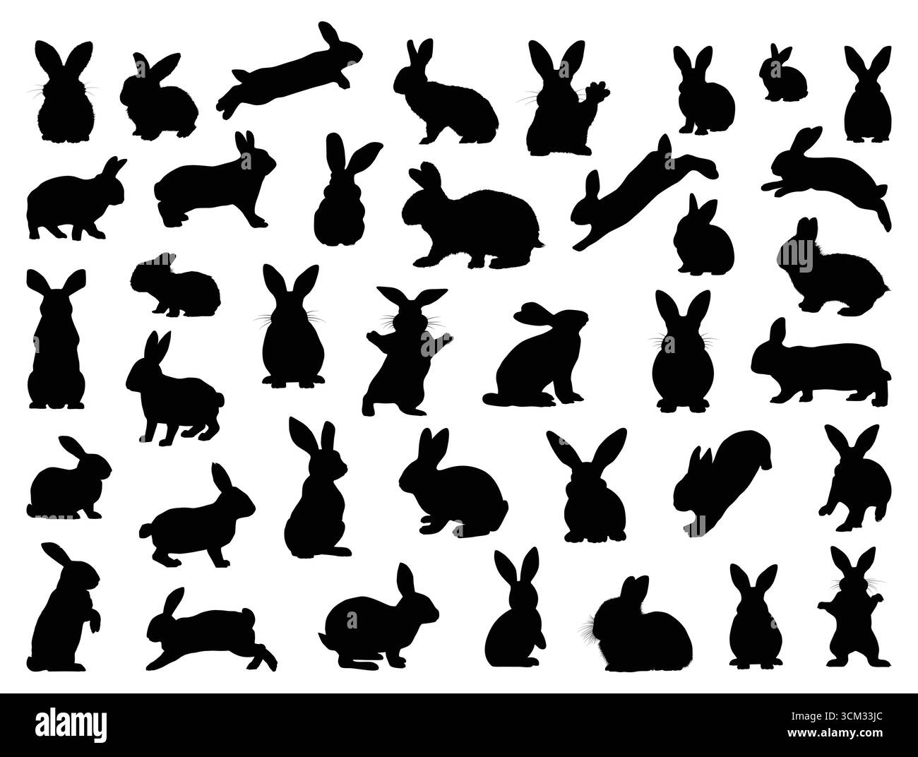 Rabbit bundle hi-res stock photography and images - Alamy