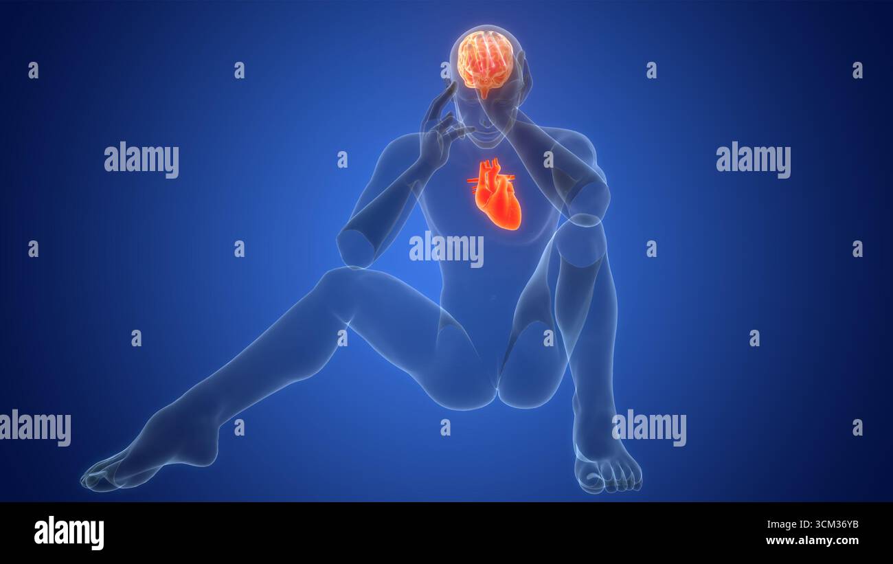 Human Suffering with Severe Headache Anatomy Stock Photo - Alamy