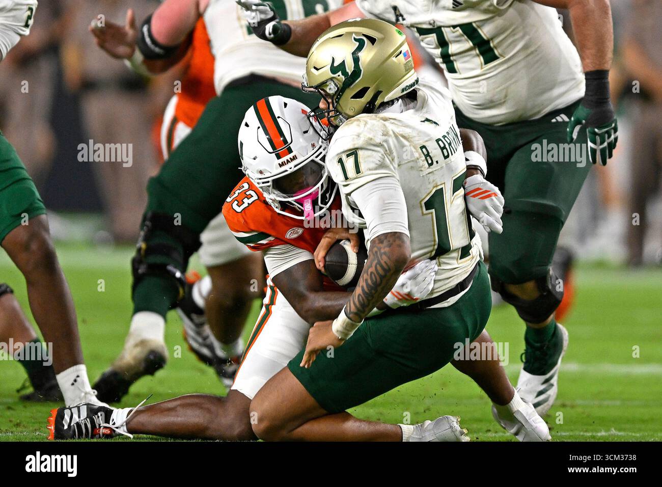 MIAMI GARDENS, FL - SEPTEMBER 13: Miami defensive lineman Booker ...