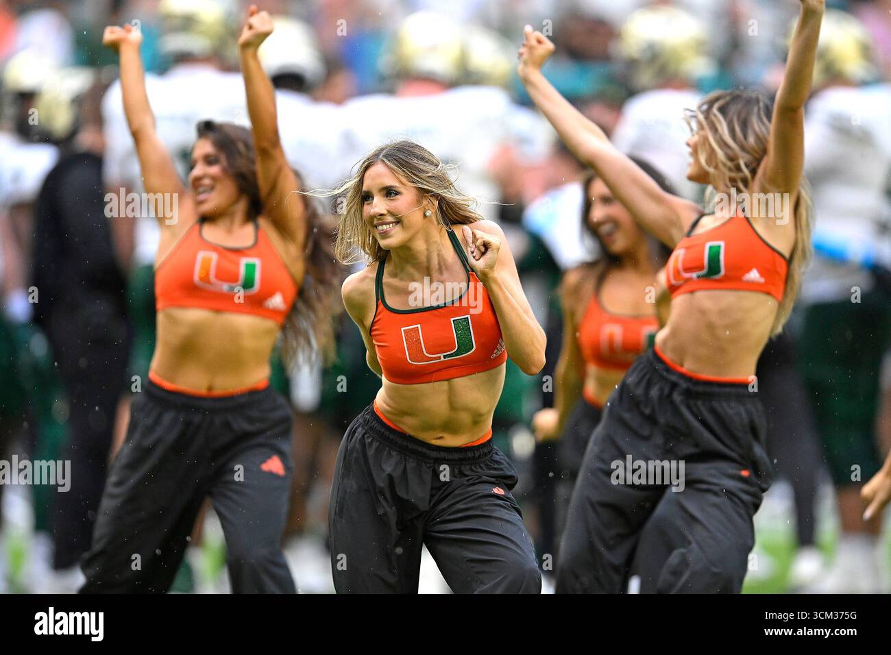 MIAMI GARDENS, FL - SEPTEMBER 13: Miami's dance team, the Sunsations ...