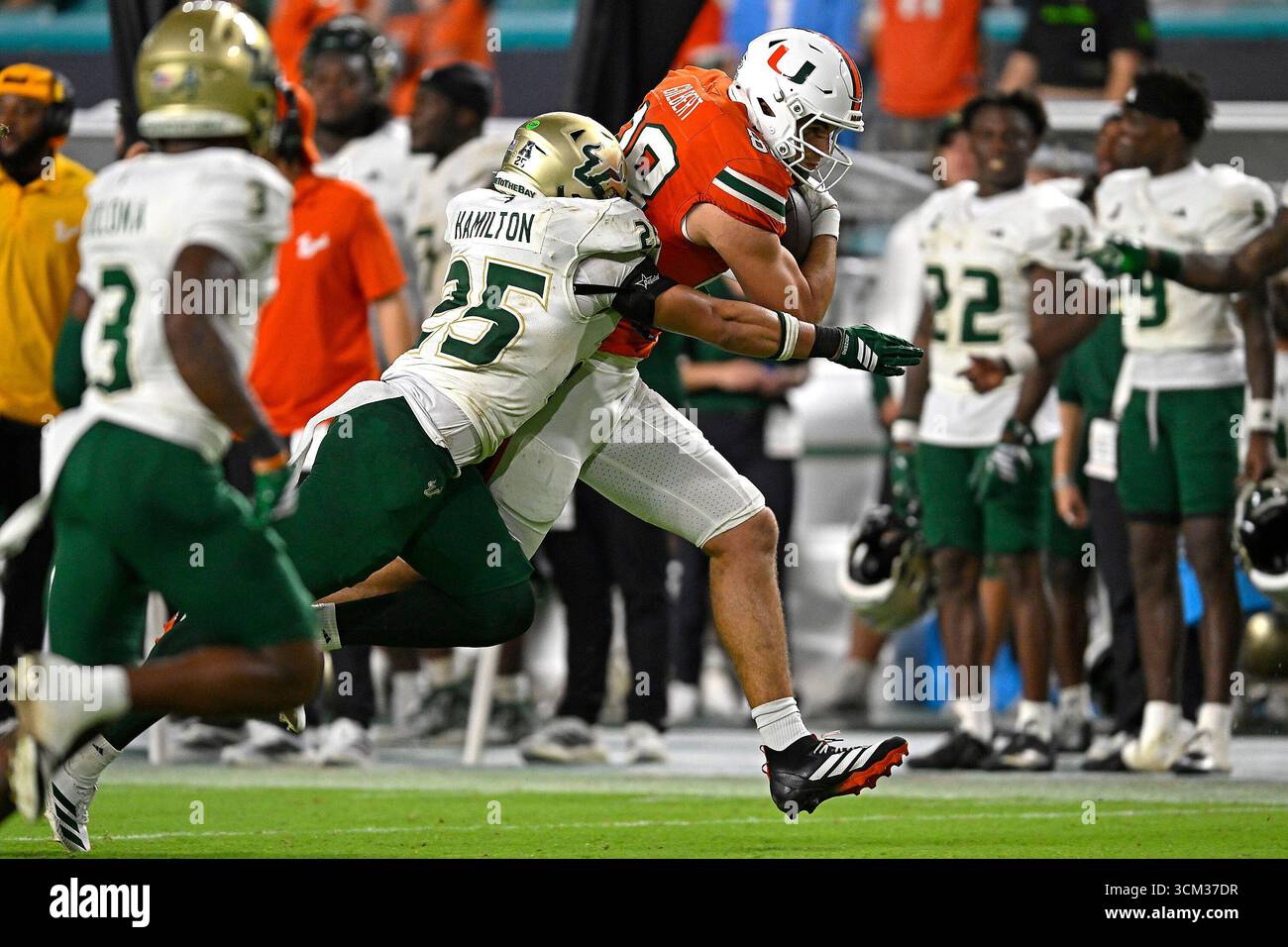 MIAMI GARDENS, FL - SEPTEMBER 13: Miami tight end Luka Gilbert (88 ...