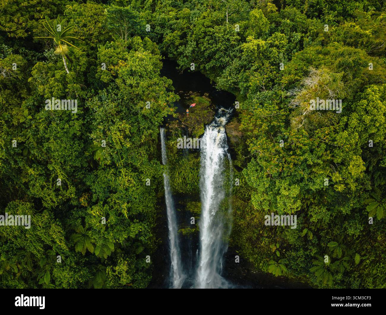 Aerial view of cascading waters plummeting amidst a vibrant green ...