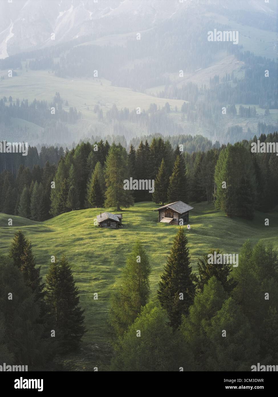 Aerial view of rustic cabins nestled amid verdant meadows and dense ...