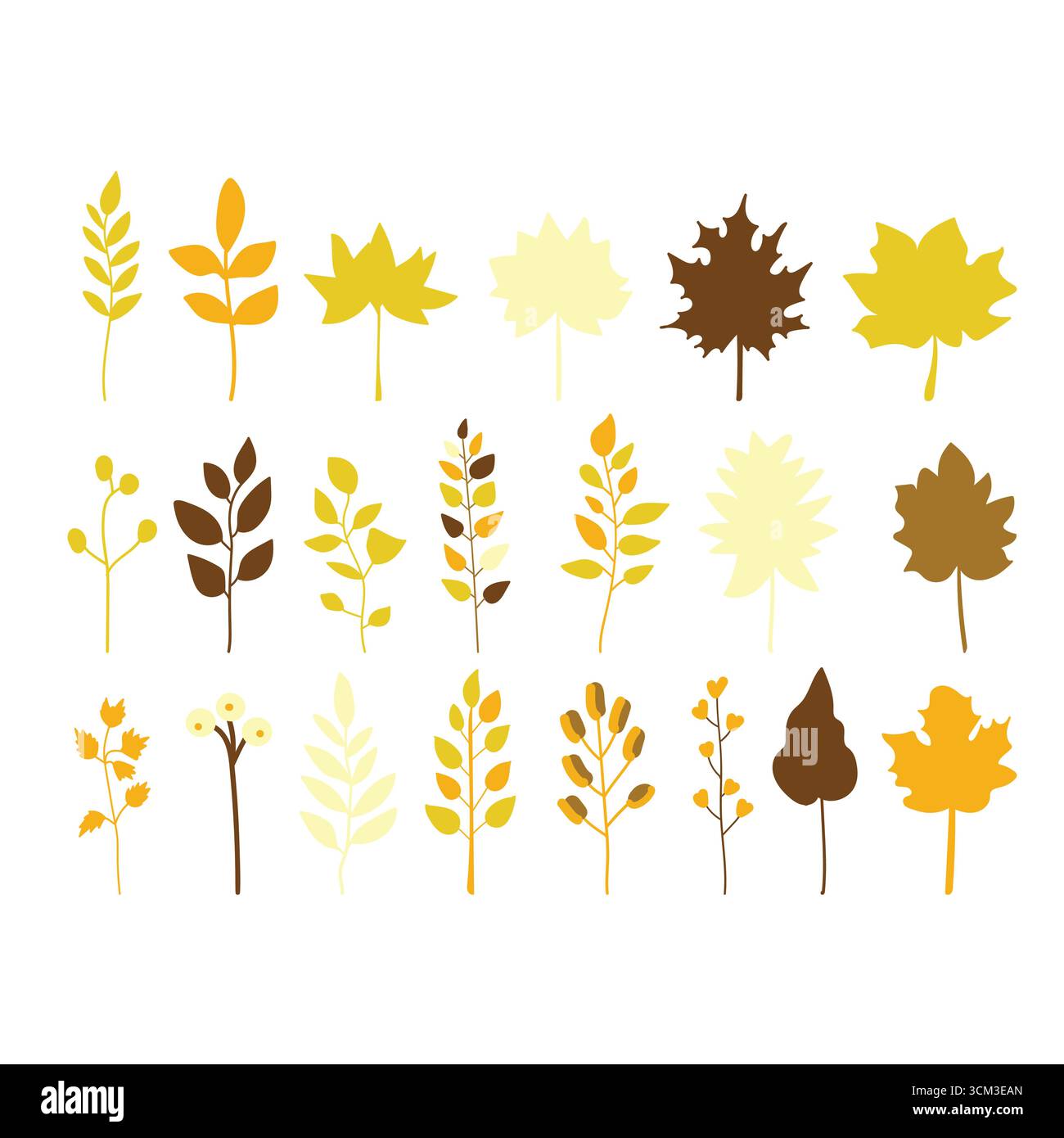 Decorative set of different fall leaves on a white background Stock ...
