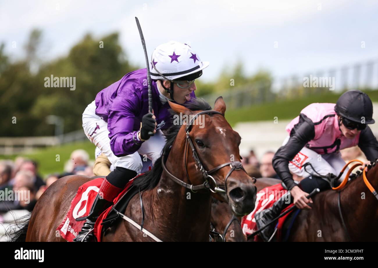 Arizona Blaze, ridden by David Egan, comes home to win the Bar One ...