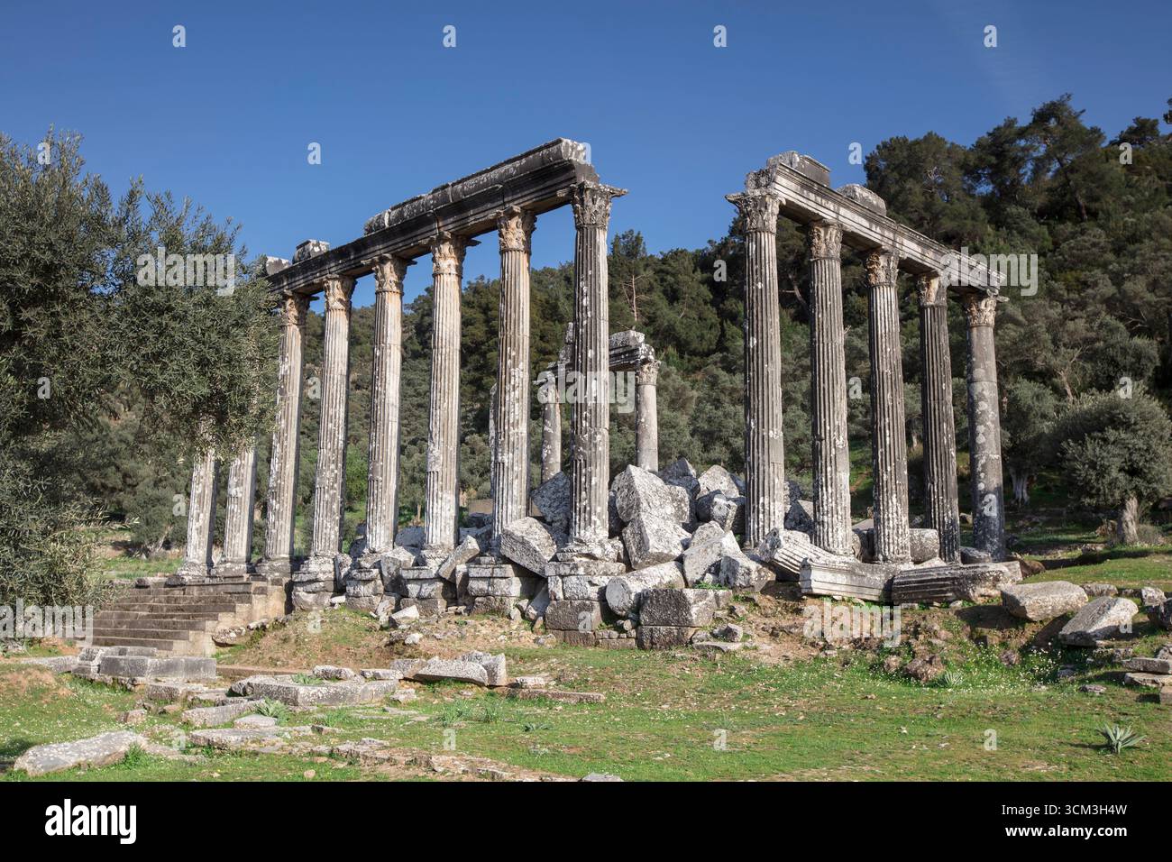 Temple of Zeus Lepsinos, Euromus, Mugla Province, Turkey Stock Photo ...