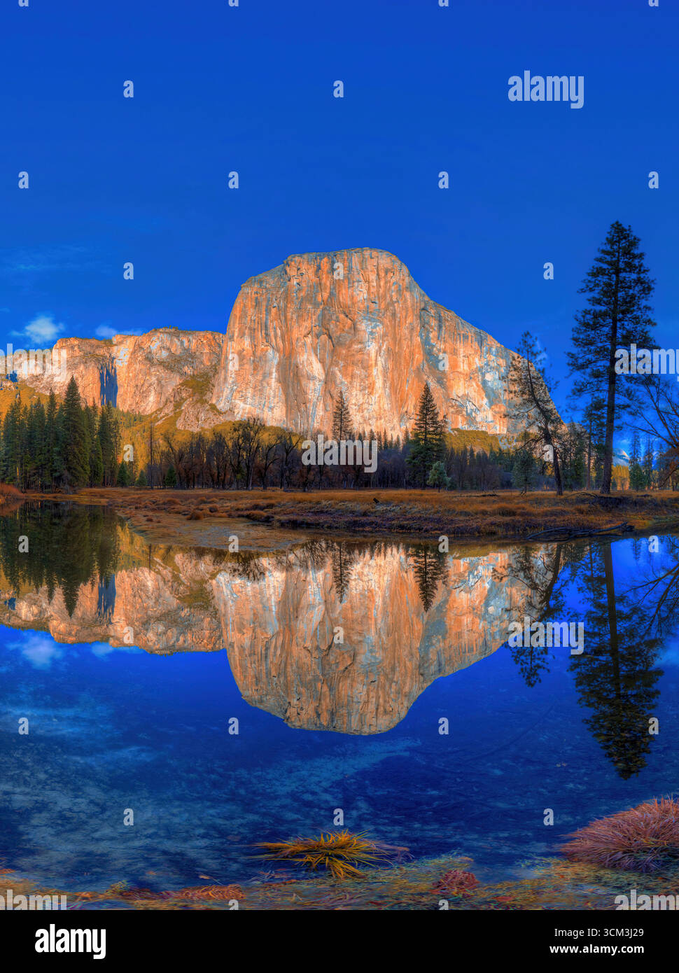 National park view calm Stock Vector Images - Alamy