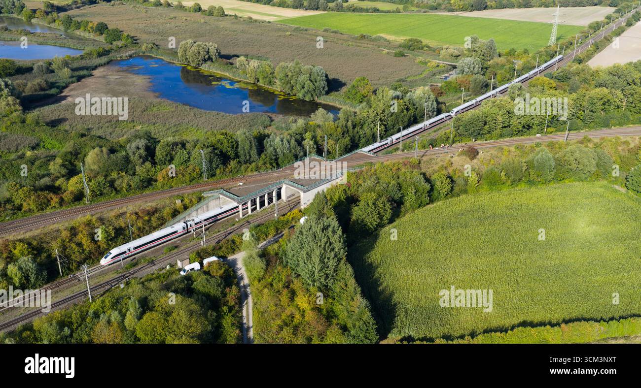Lehrte, Germany. 14th Sep, 2025. Deutsche Bahn employees work on a ...