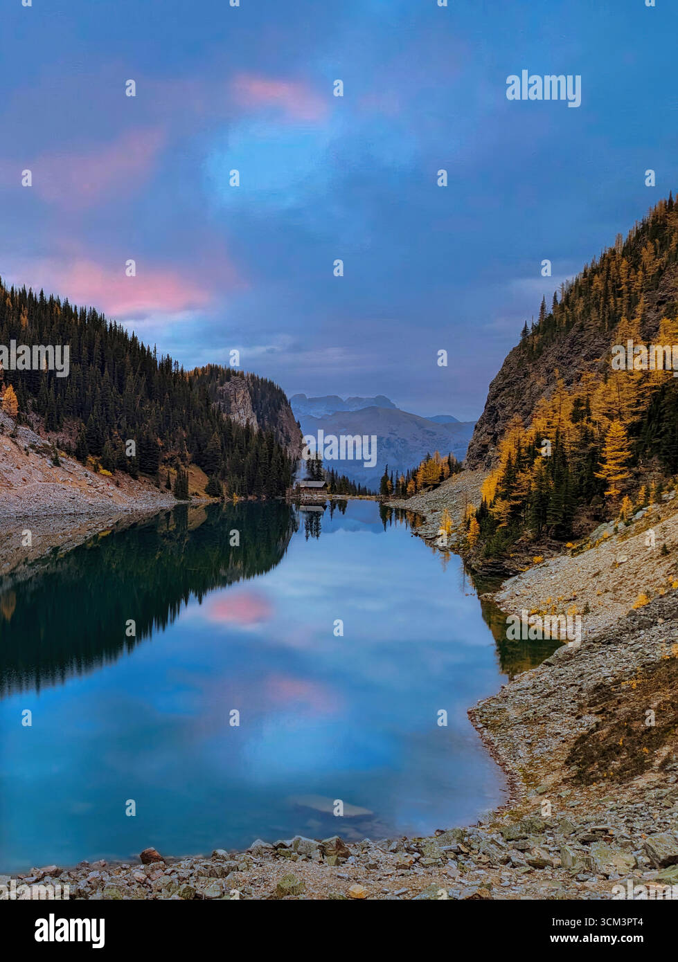 Reflection trees and water Stock Vector Images - Alamy