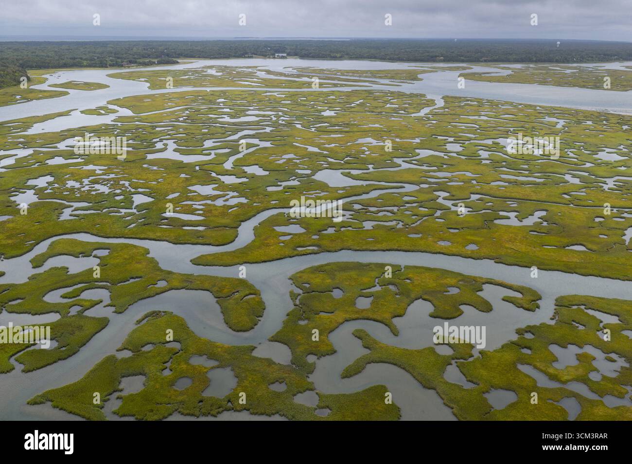 Sinuous channels meander through a scenic salt marsh on Cape Cod ...