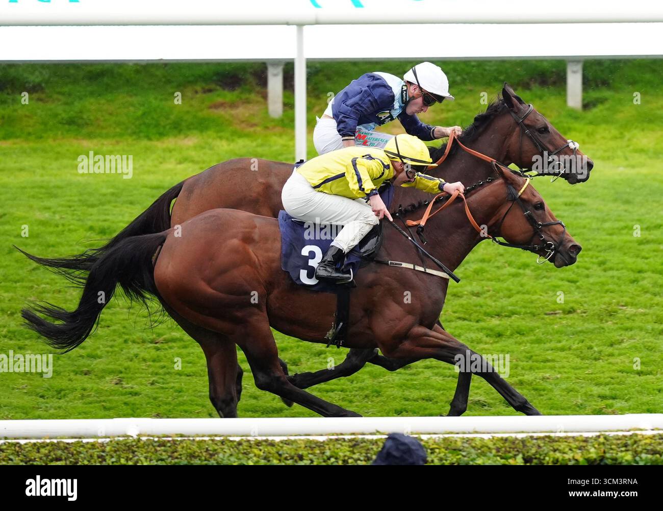 Fair Angellica ridden by Finley Marsh (farside) passes Bright Thunder ...