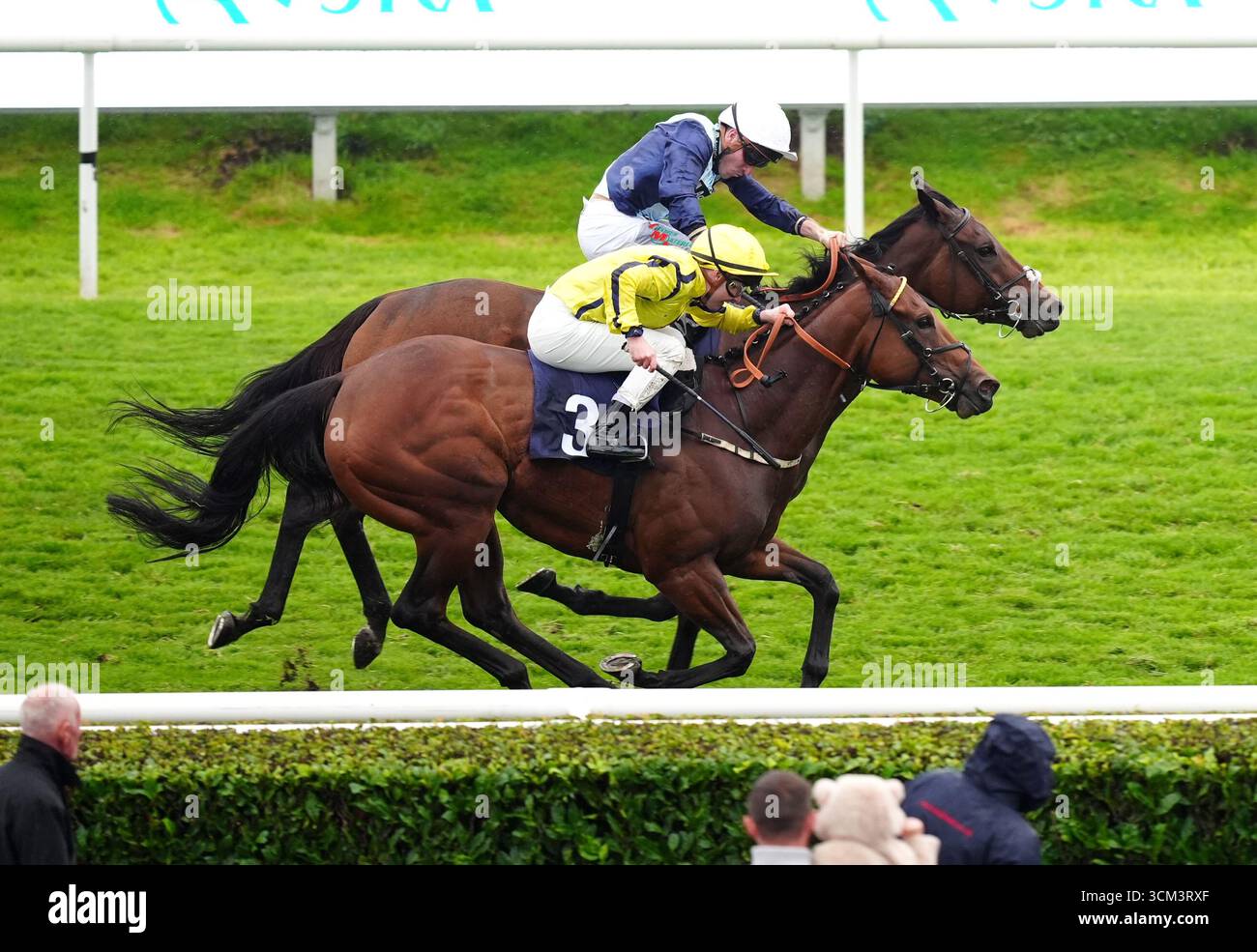 Fair Angellica ridden by Finley Marsh (farside) passes Bright Thunder ...