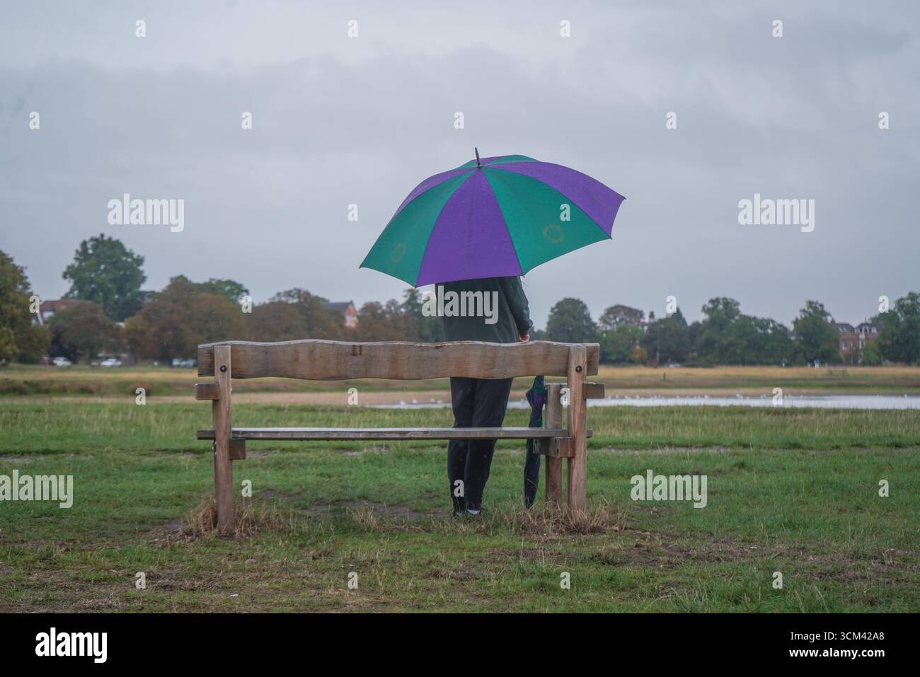 Heavy rain uk 2025 umbrella hi-res stock photography and images - Alamy