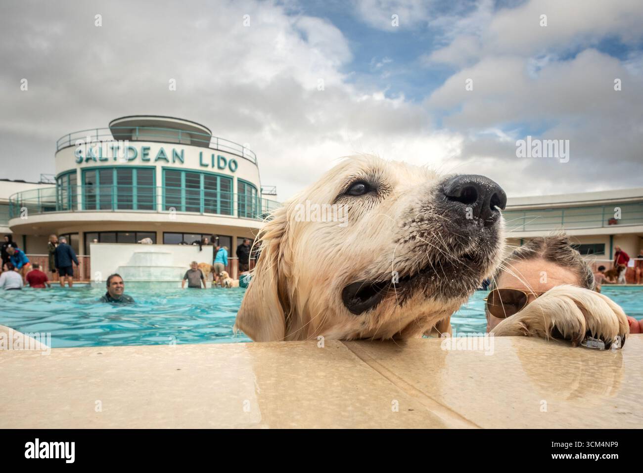 Saltdean, September 13th 2025: The Golden Hour, a swimming session ...
